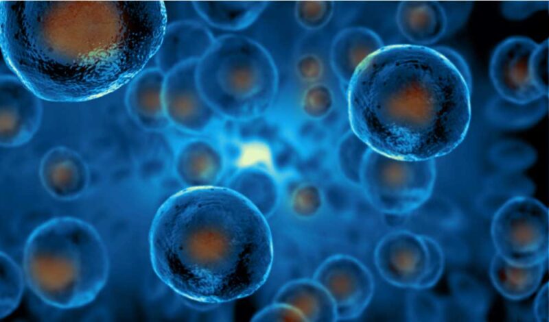 Amniotic Fluid Therapy | Biologic Medicine | Manhattan, Brooklyn, New ...
